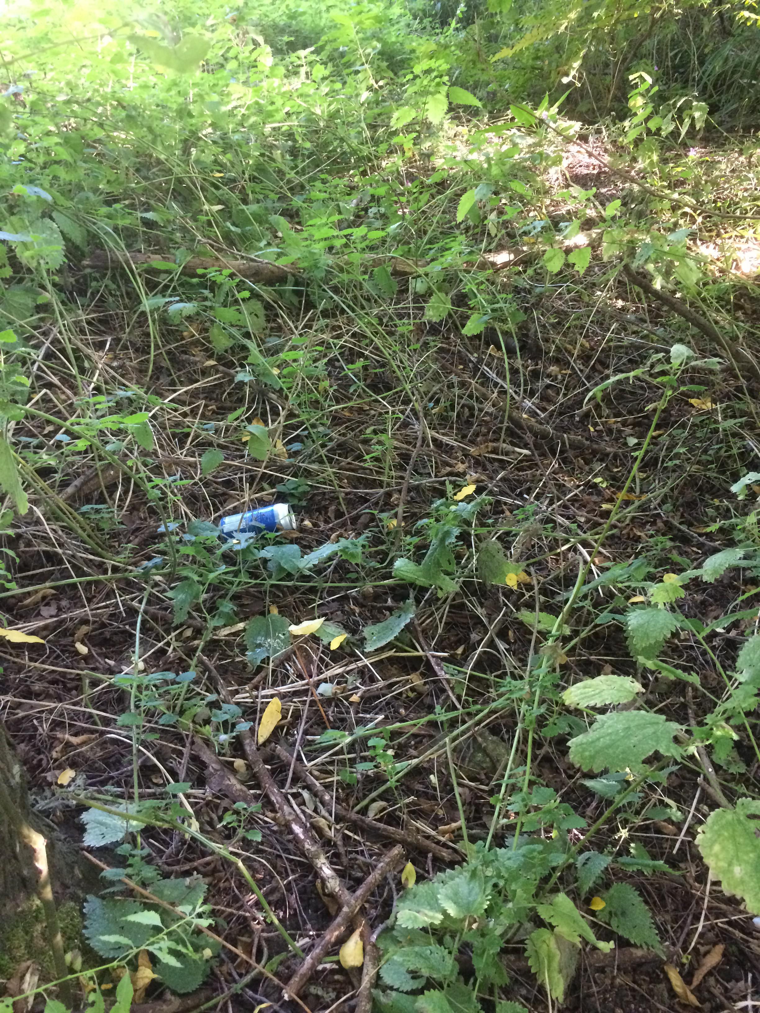 Taco Object Detection Dataset and Pre-Trained Model by Gal Lahat