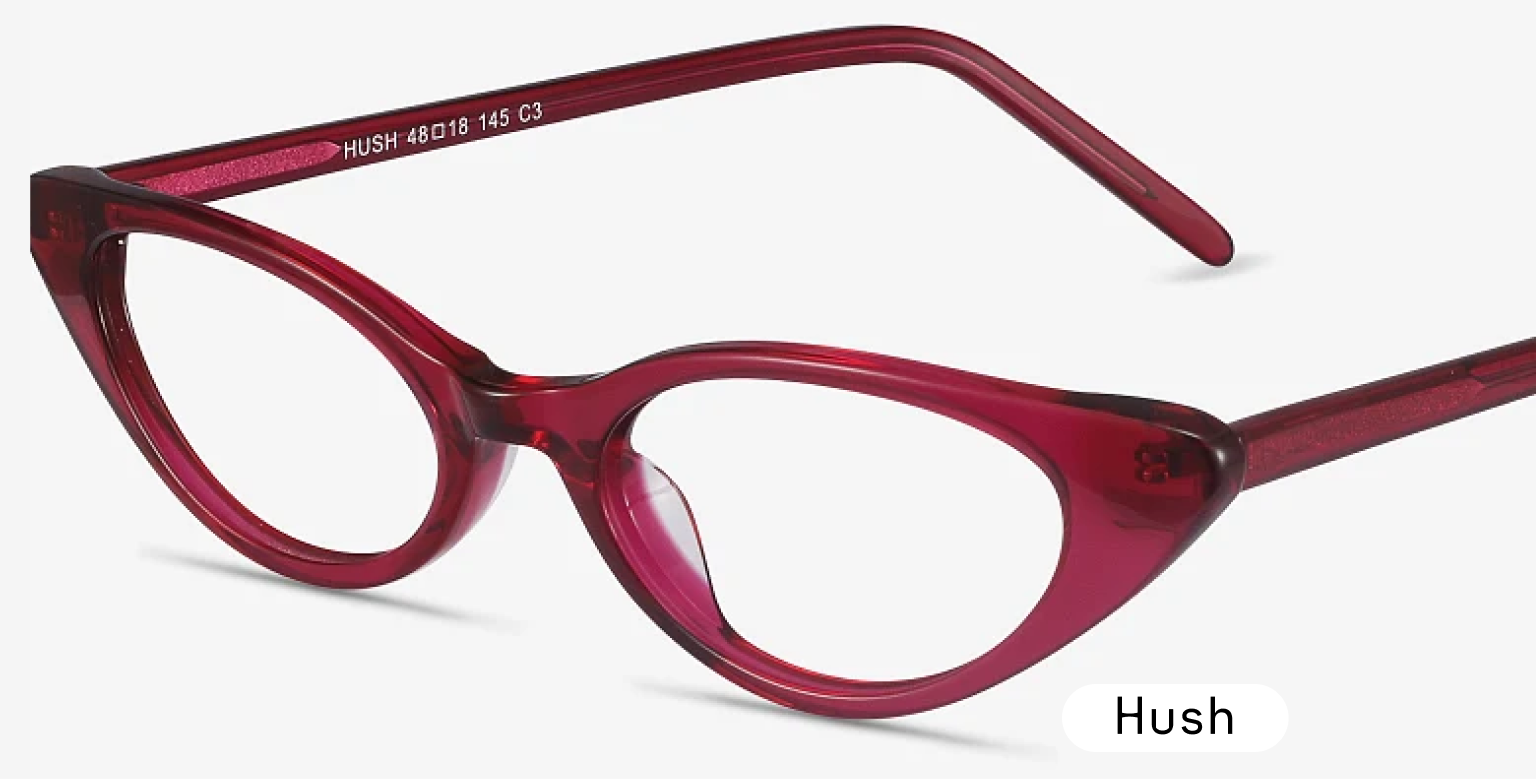 Glasses Detection Classification Dataset By Noseprojecttestrun