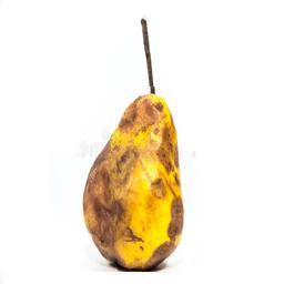 rotten or fresh Classification Dataset by rima