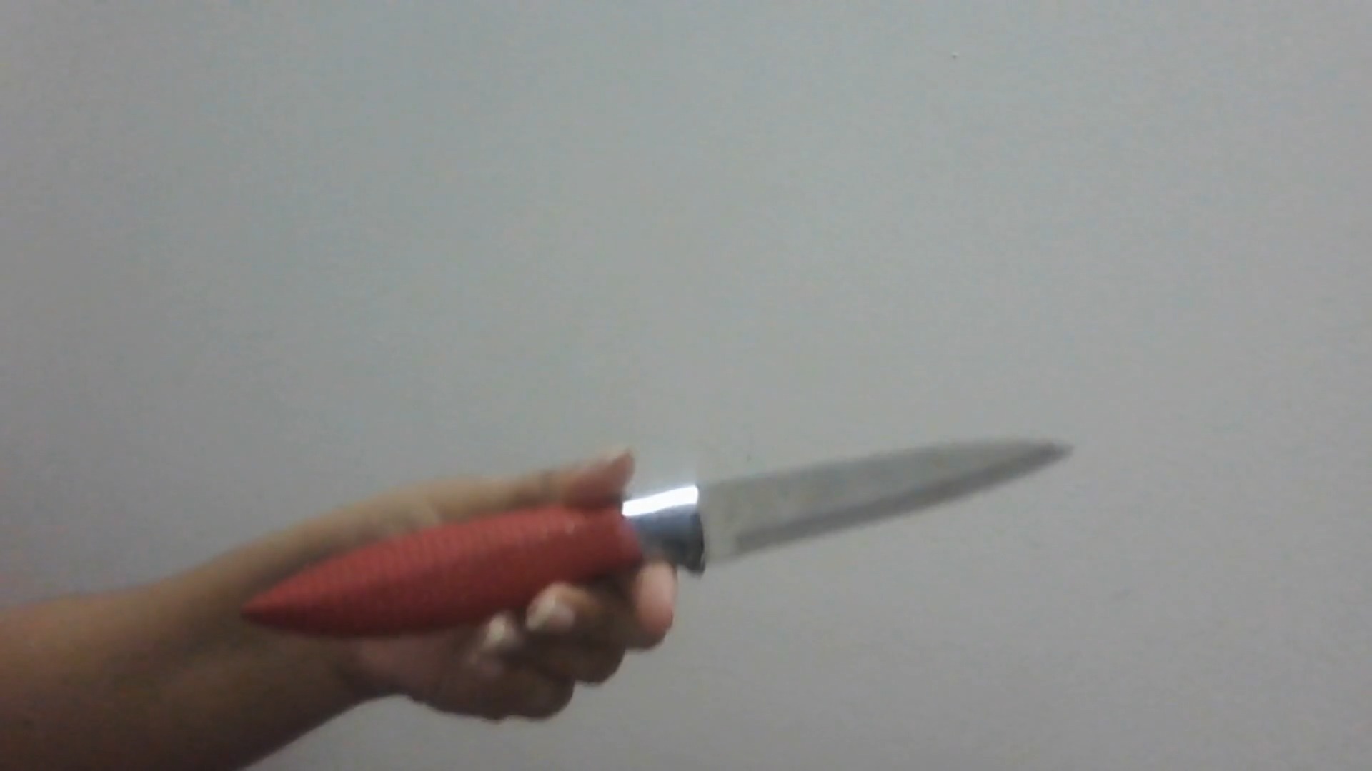 Armed Robbery Detection Object Detection Model By University