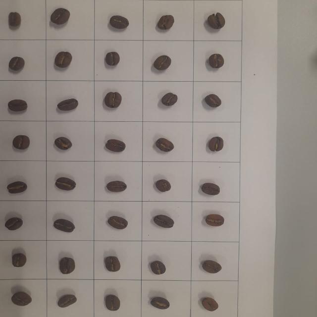 cafe_deteccion_4_clases Object Detection Dataset by Vultur