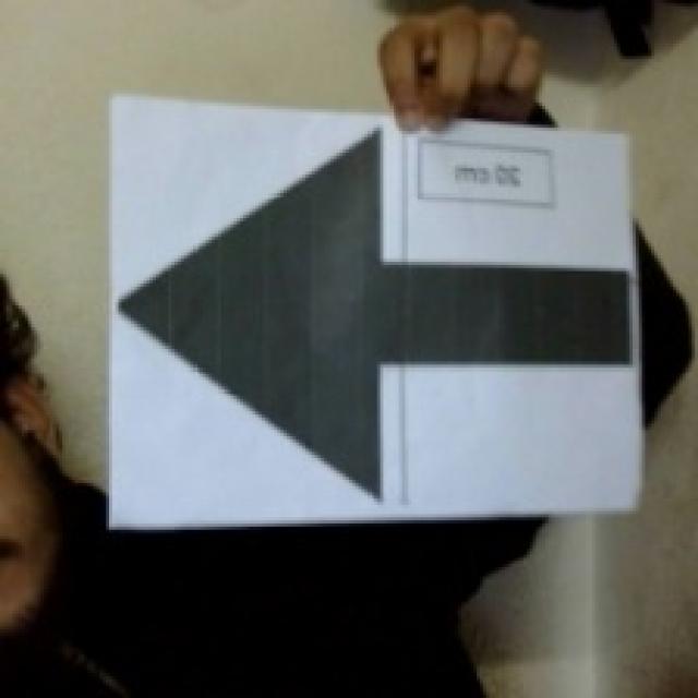 direction Object Detection Model by StopSign