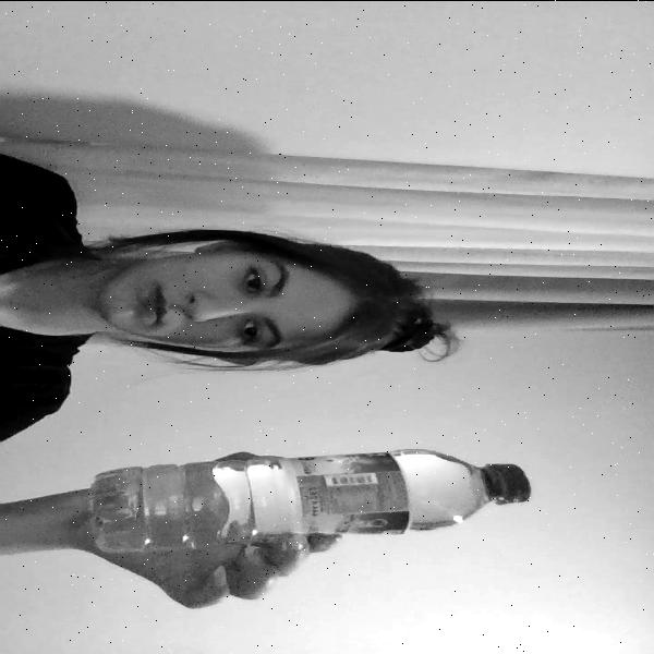 Can and pet Object Detection Dataset by Updated Object detection