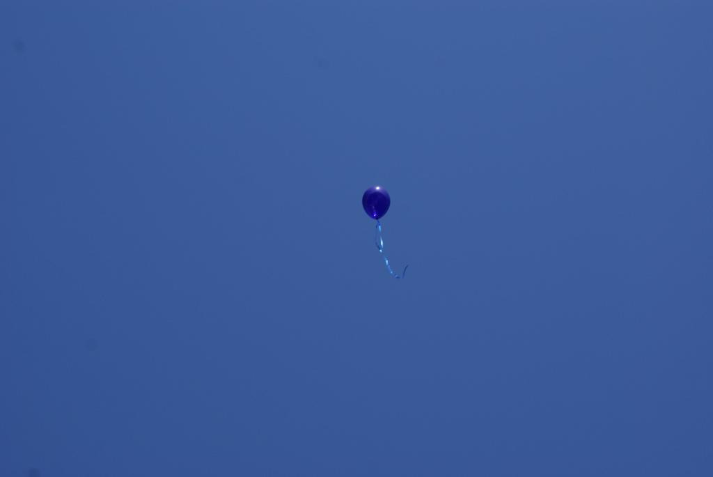 Balloon Dataset Object Detection Dataset And Pre Trained Model By Veribul