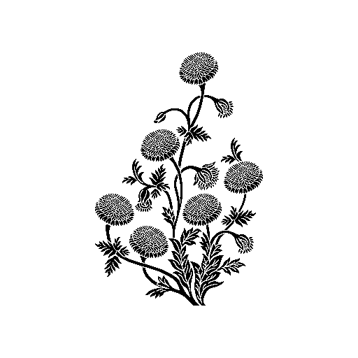 design Classification Dataset by Karthik K