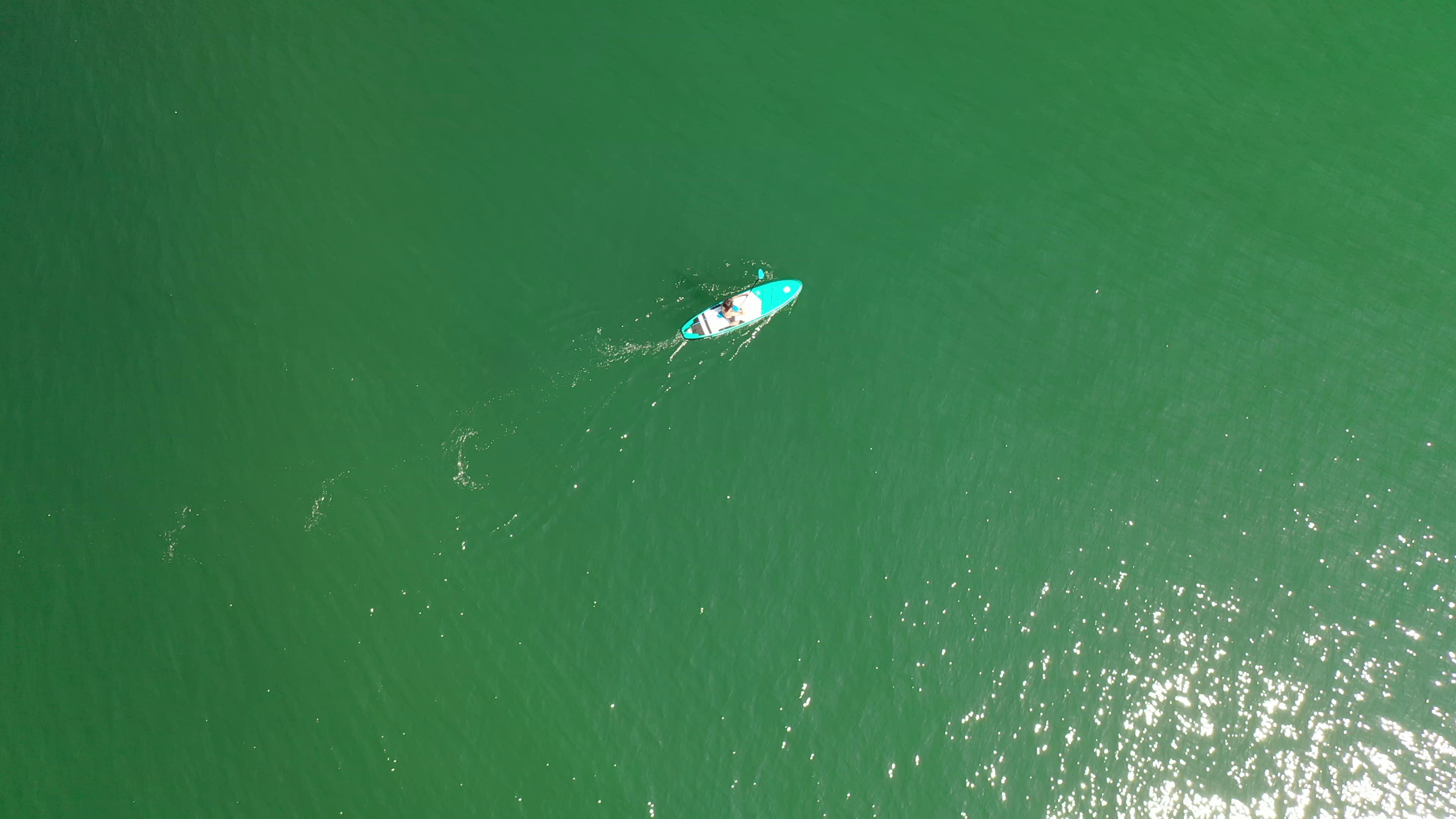 shark tracking Object Detection Dataset and Pre-Trained Model by computer vision