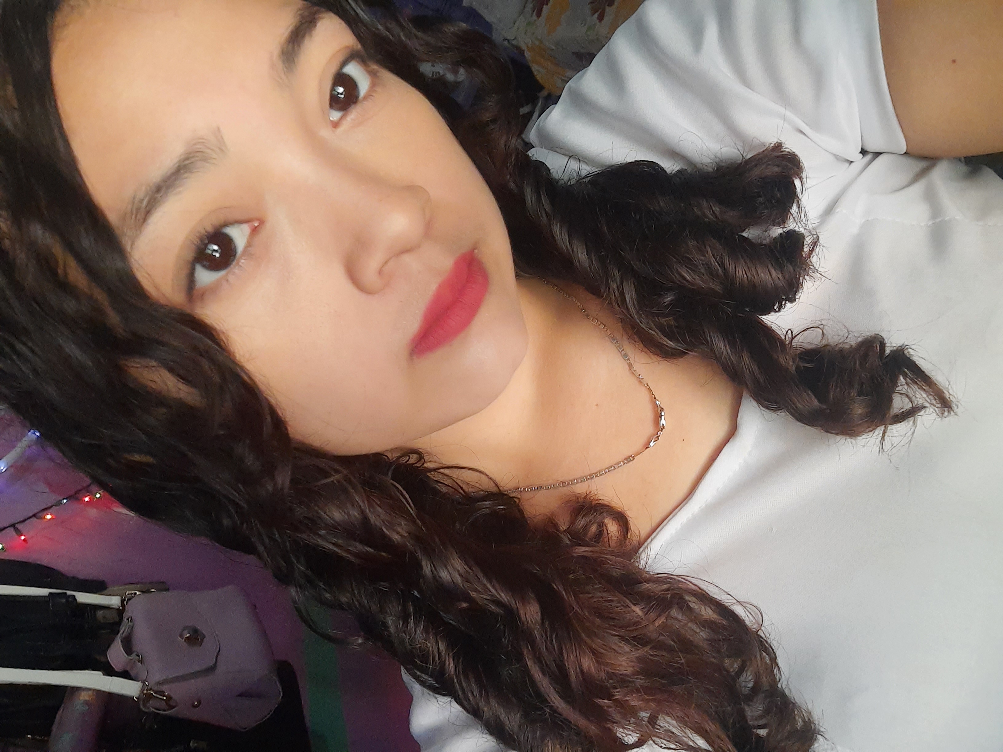 animals Object Detection Model by ITESCAM