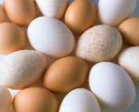 Egg color detector - Roboflow Universe