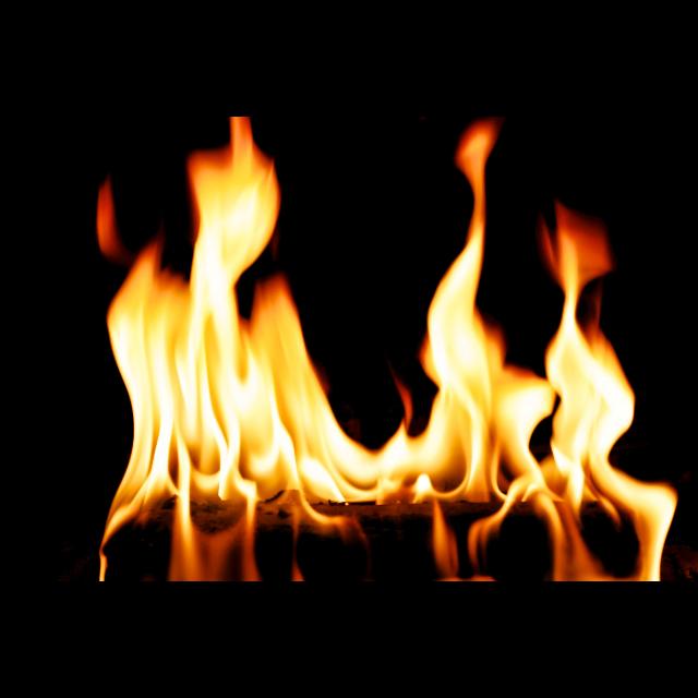 seg Instance Segmentation Dataset and Pre-Trained Model by FIREFIREFIRE