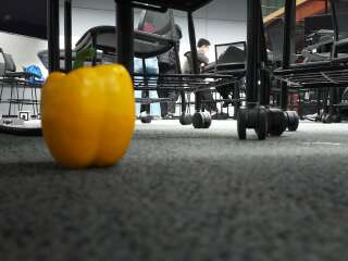 fruits Object Detection Dataset by ECE