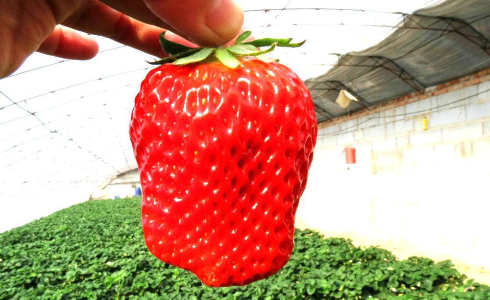 JOEYCHWorkspace - Roboflow Universe