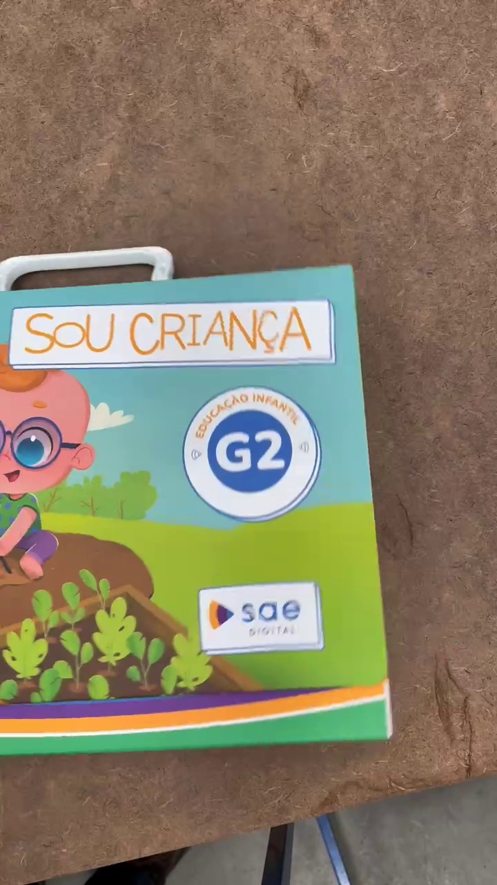 Ana Amorim - Roboflow Universe