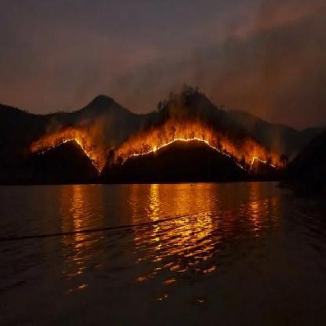 Fire Object Detection Model by EMBER