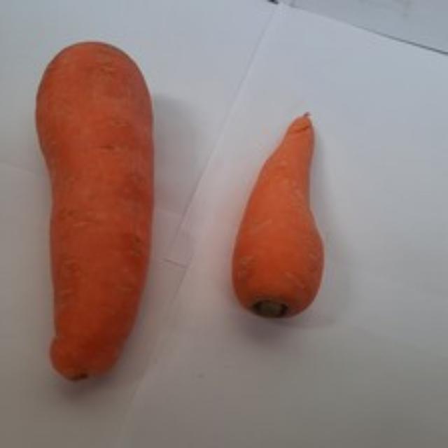 Trash Classes Object Detection Dataset by Trash Classes