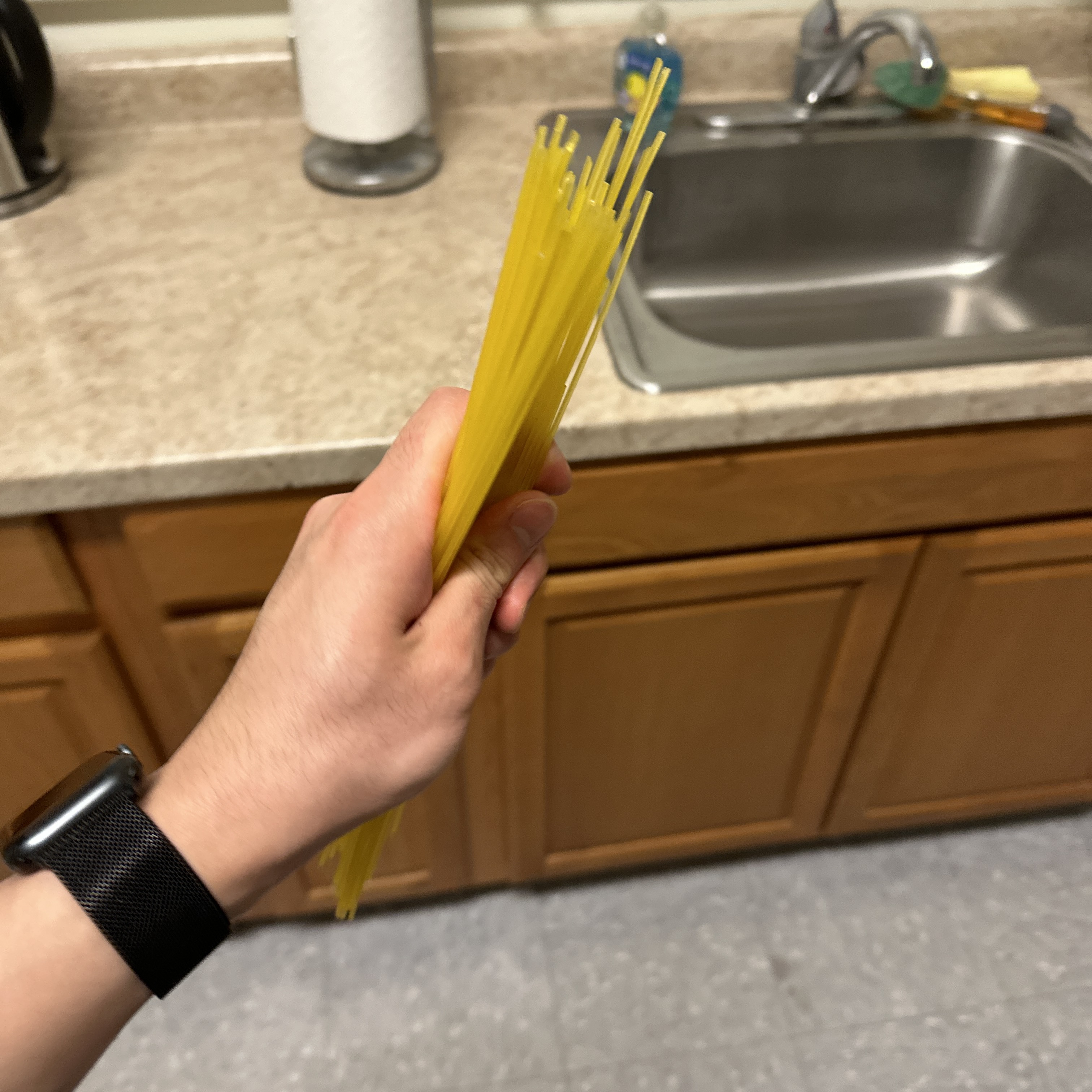 Spaghetti noodle Object Detection Model by Trash Classes