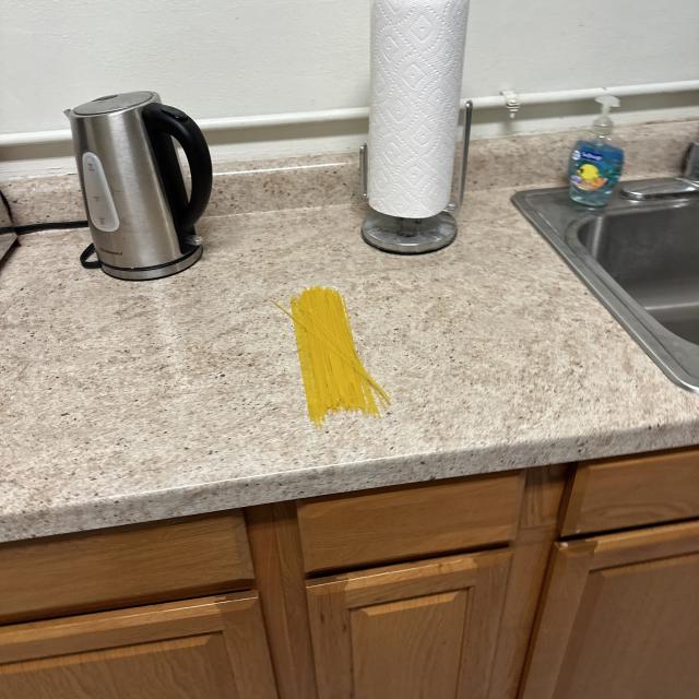 Prototype-1 Spaghetti Noodle Object Detection Dataset by Trash Classes