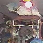 three wheeler Instance Segmentation Dataset by Pose