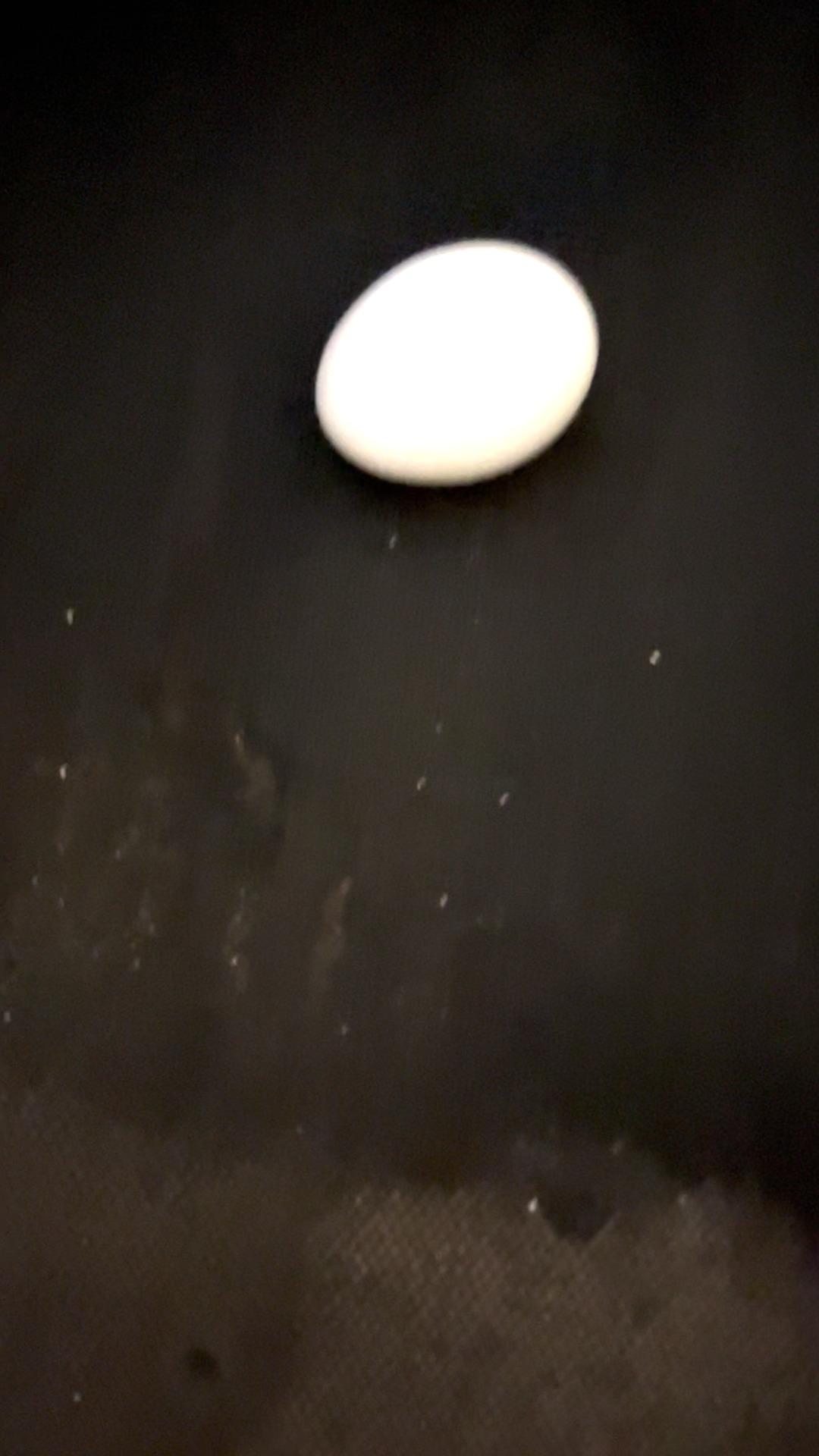 Egg Classification Object Detection Model by shashi kumar