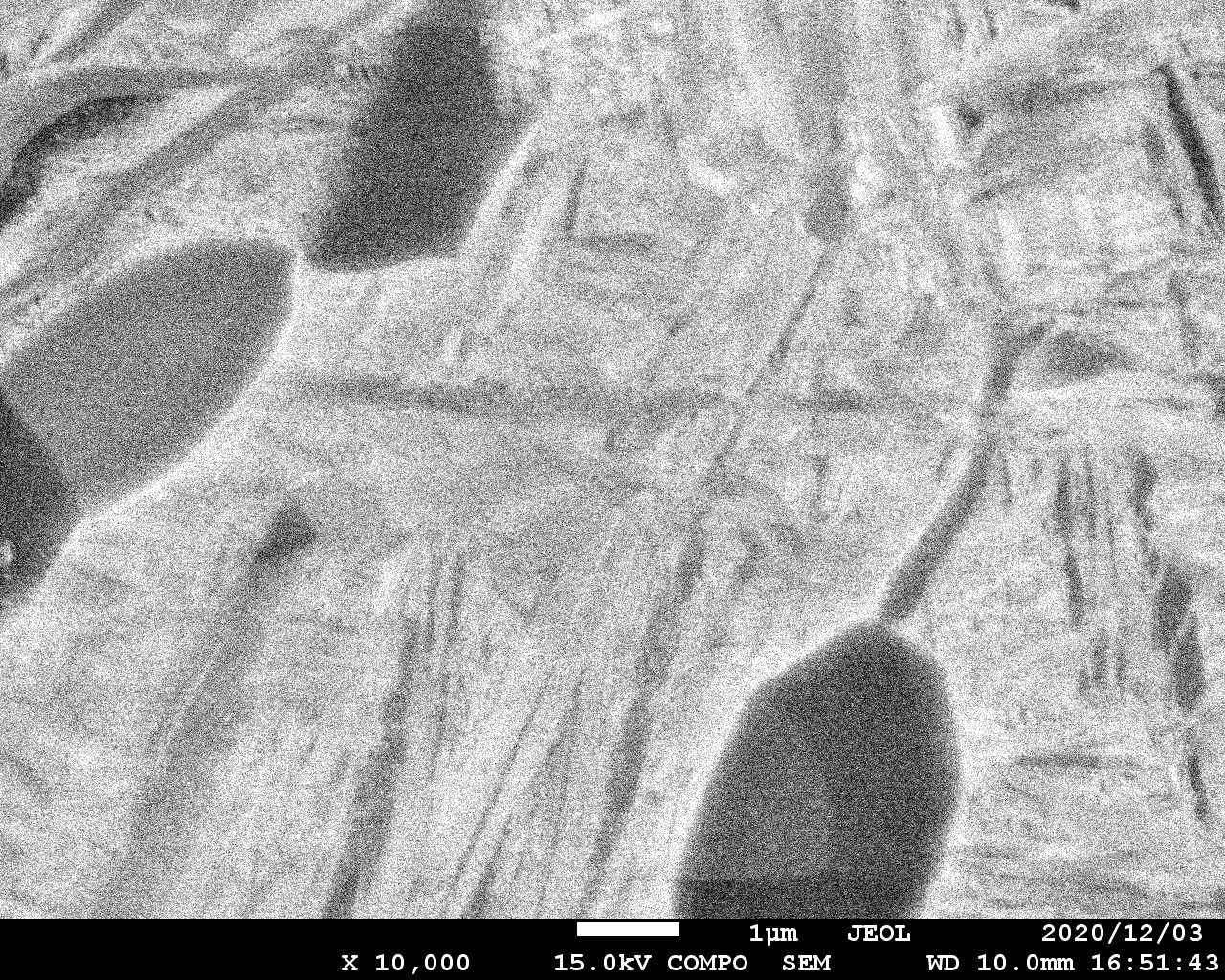 Dataset2particle Instance Segmentation Dataset And Pre Trained Model By