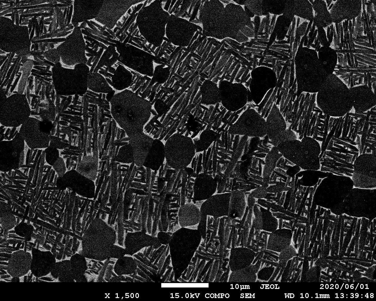 last_1000-1500x Instance Segmentation Dataset by yuuki