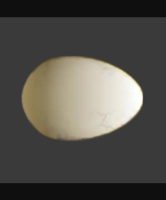 train egg Object Detection Dataset by egg classification