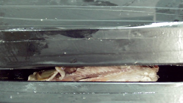 Gutting Classification Model by Fish