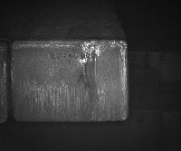 Developer (developer-artit) - Roboflow Universe