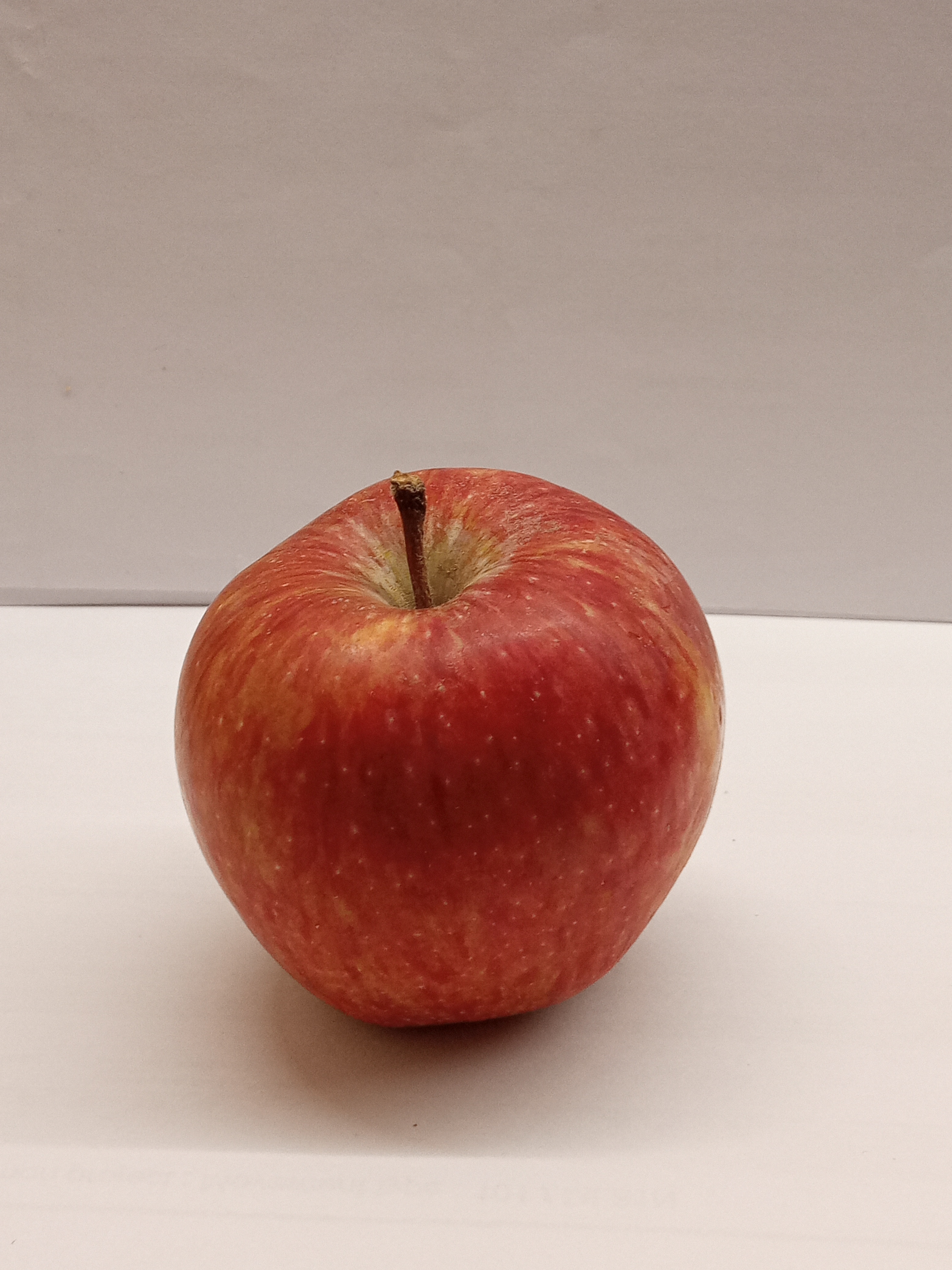fruit detection Object Detection Model by frutipick