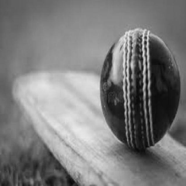 bat Object Detection Model by HF