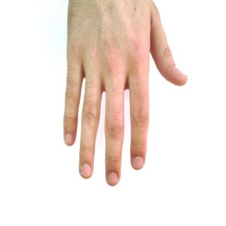 HAND-DETECTion Object Detection Dataset by Hisham Saeed