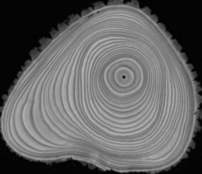 NRCan - Roboflow Universe