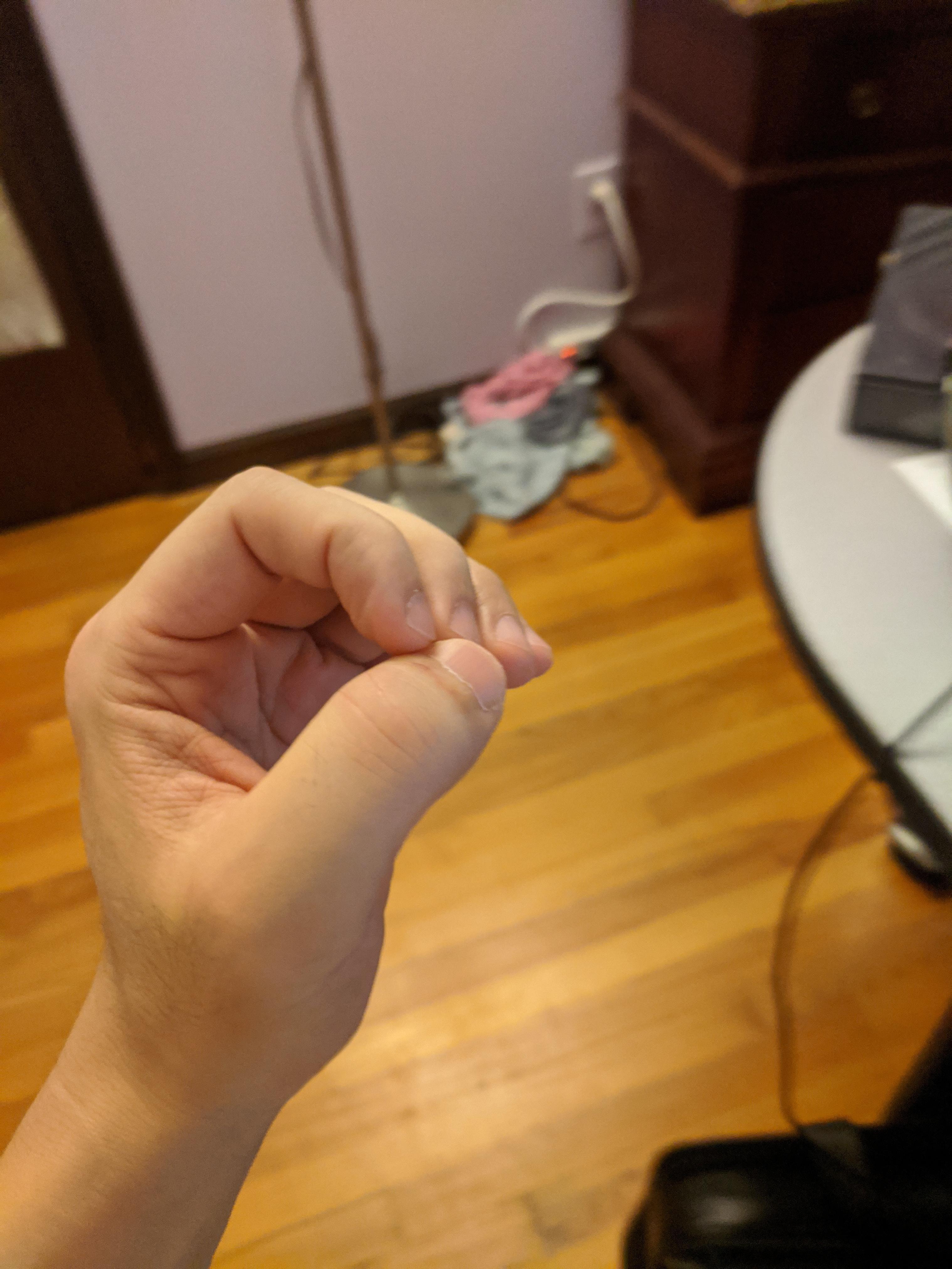 Sign language Instance Segmentation Dataset and Pre-Trained Model by Final Project