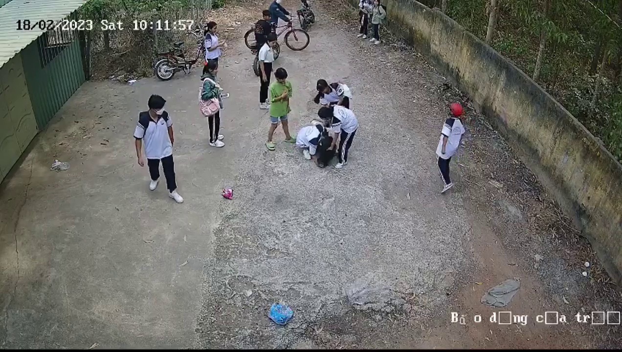 Test7576and123 Object Detection Dataset V1 2024 03 20 12 10am By Hcmut5