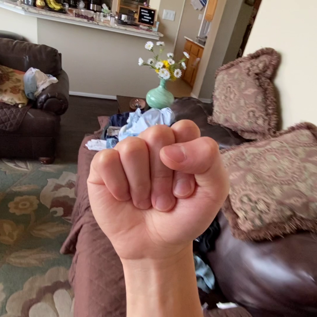 old nano hand gestures Object Detection Dataset and Pre-Trained Model ... old nano hand gestures Object Detection Dataset and Pre-Trained Model ...