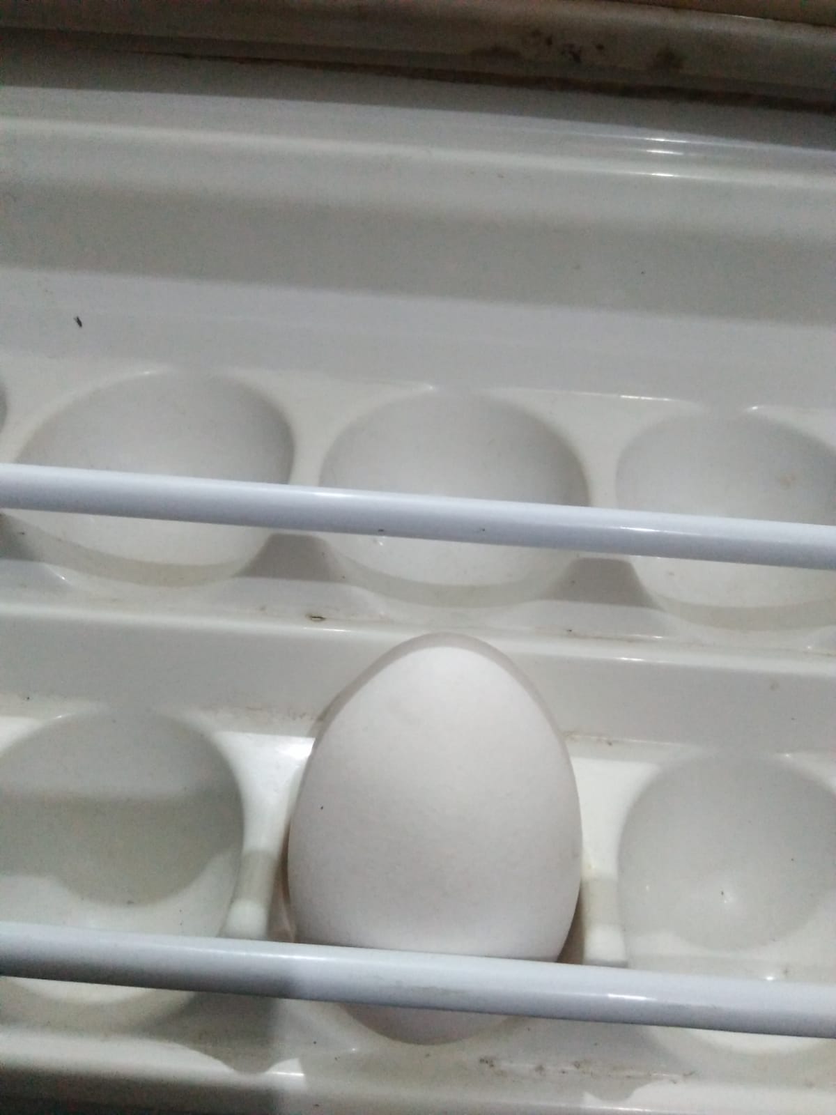 Classification (classification-jnvpe) - Roboflow Universe