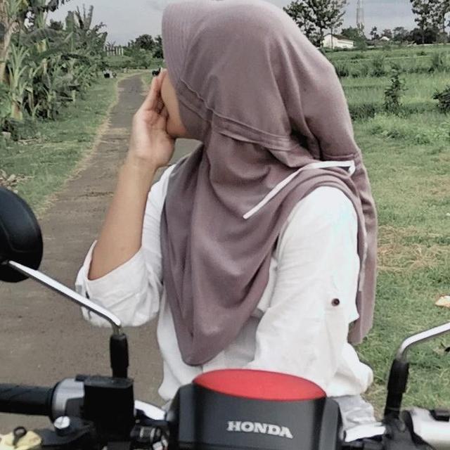 hv2 Instance Segmentation Dataset by A