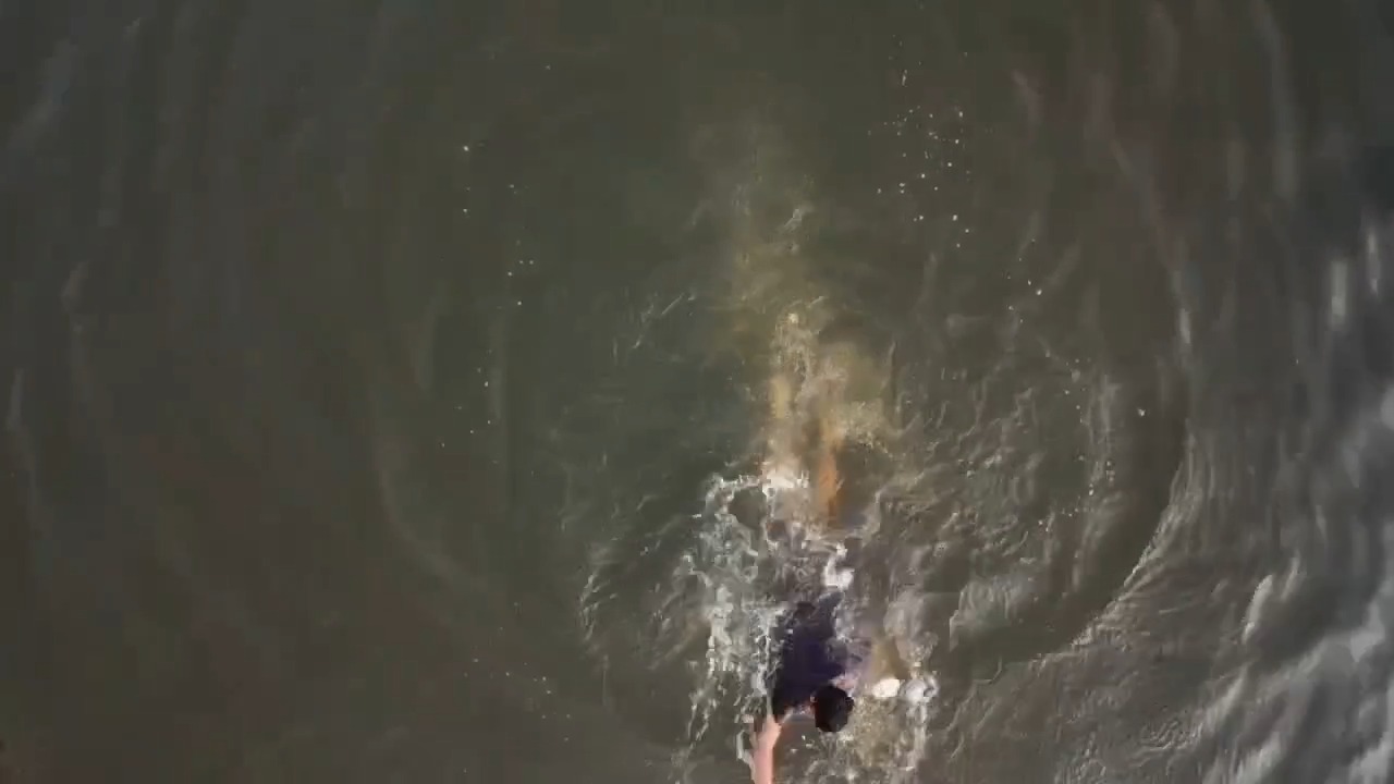 Final Object Detection Model By Finaldataset