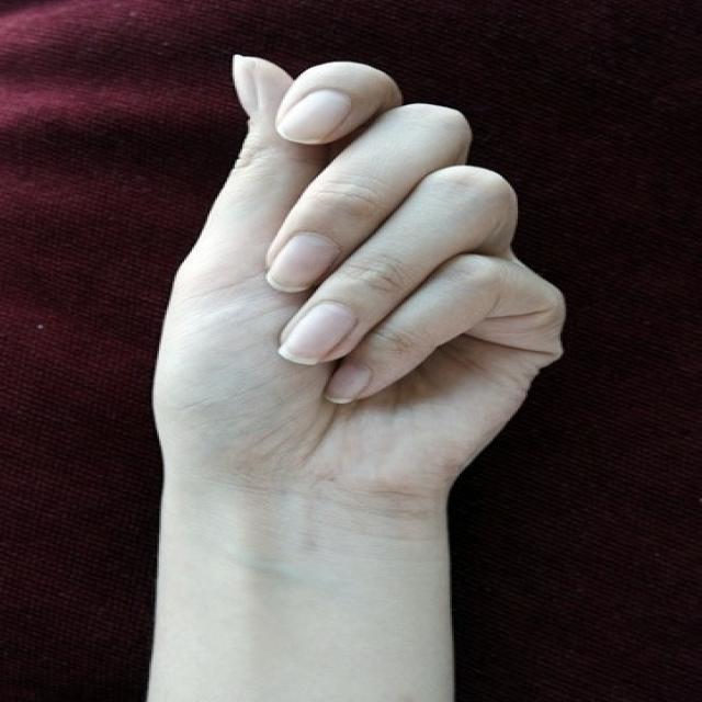 Nails Instance Segmentation Dataset by Test