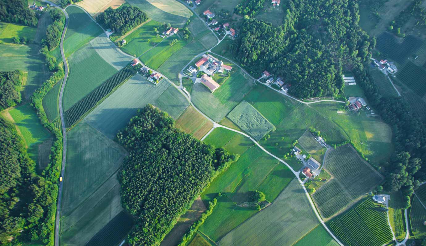 Deforestation Object Detection Model By Sliit
