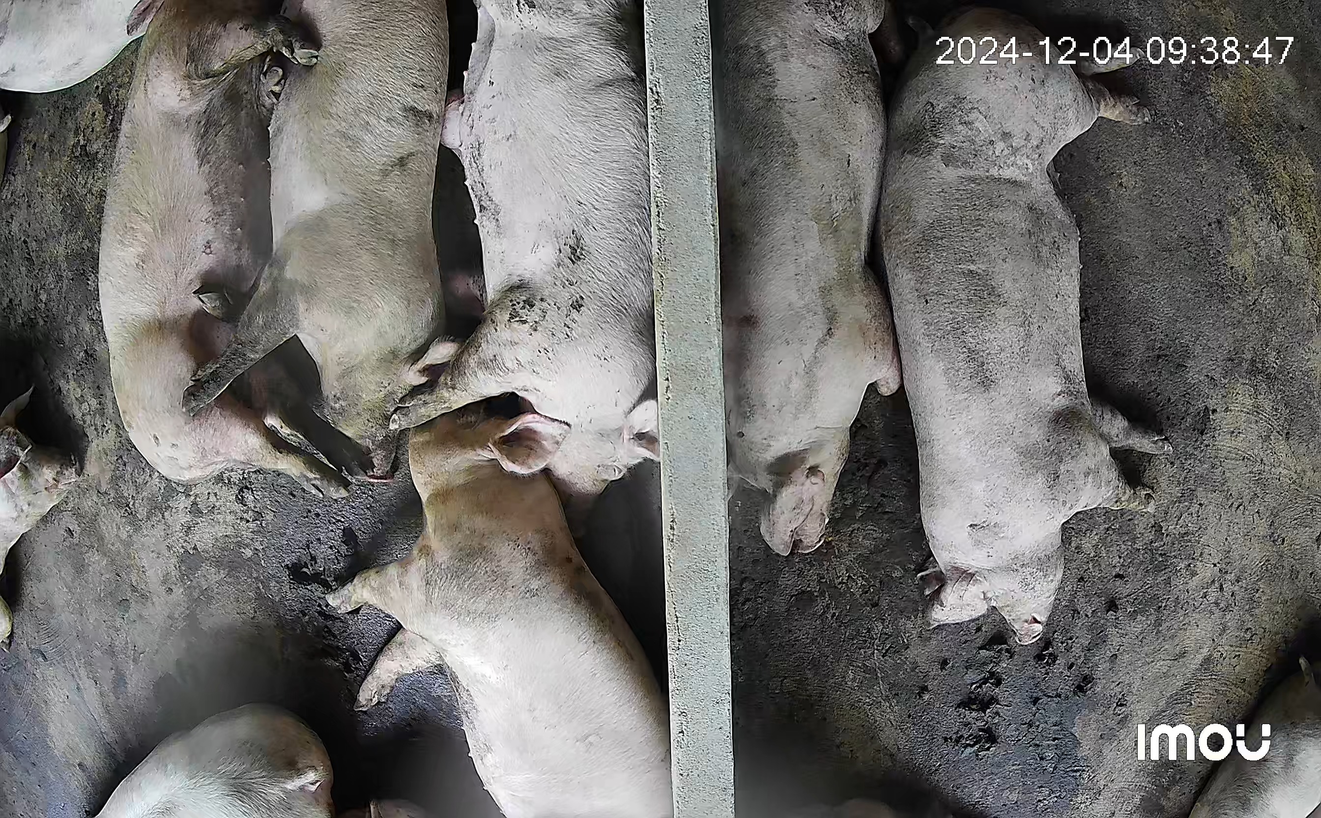 Ai knowledge - Roboflow Universe