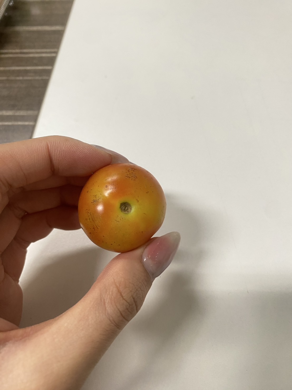 Tomatoes Object Detection Dataset and Pre-Trained Model by Rangsit