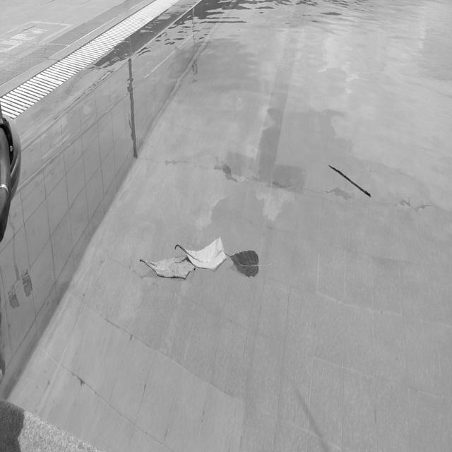 floating waste dataset grayscale_images Object Detection Model (v1, 2022-08-26 11:13pm) by ...