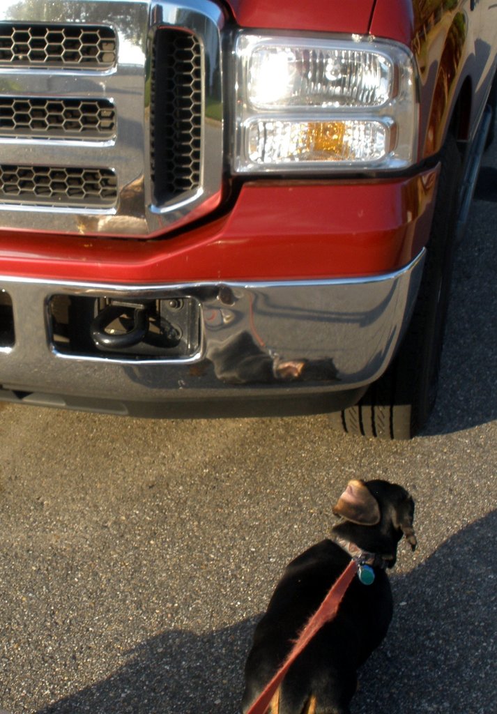 Josh kumar - Roboflow Universe