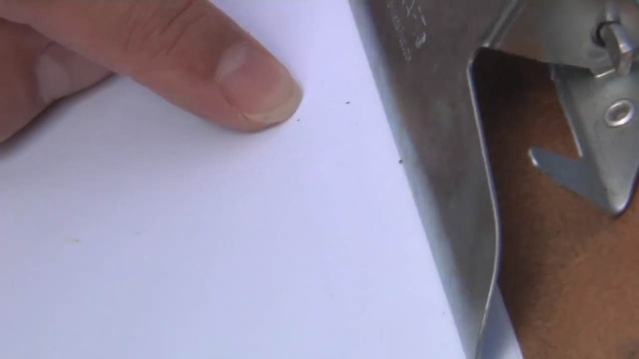 Thesis Pest Detection Object Detection Dataset By De La Salle