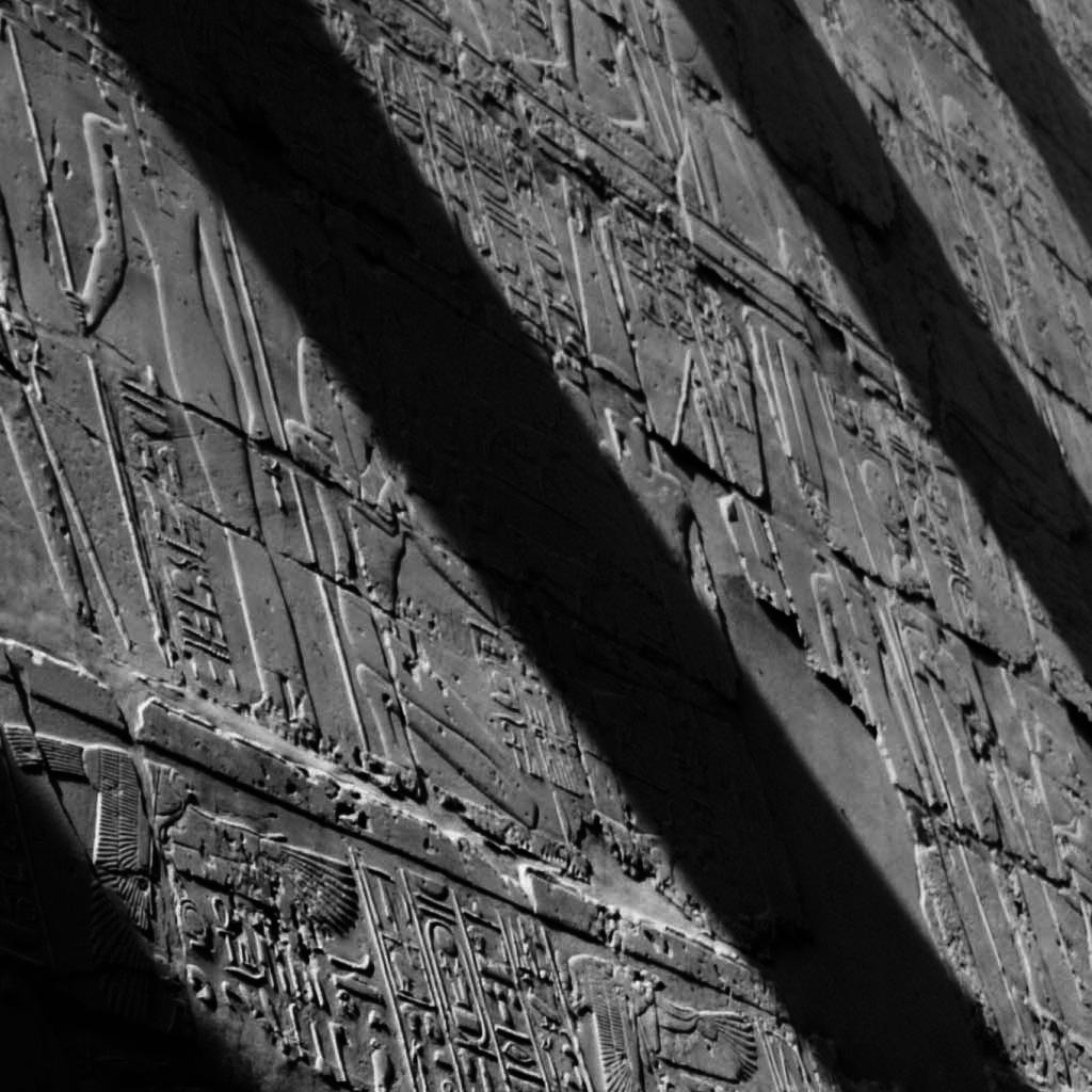 New Dataset Object Detection Dataset By Tyuio234567