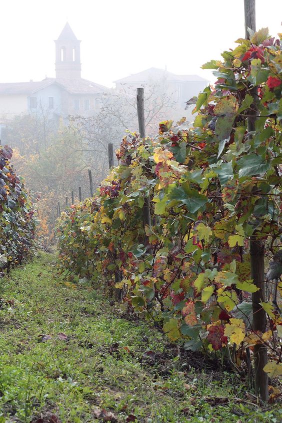 Path Object Detection Dataset and Pre-Trained Model by Path