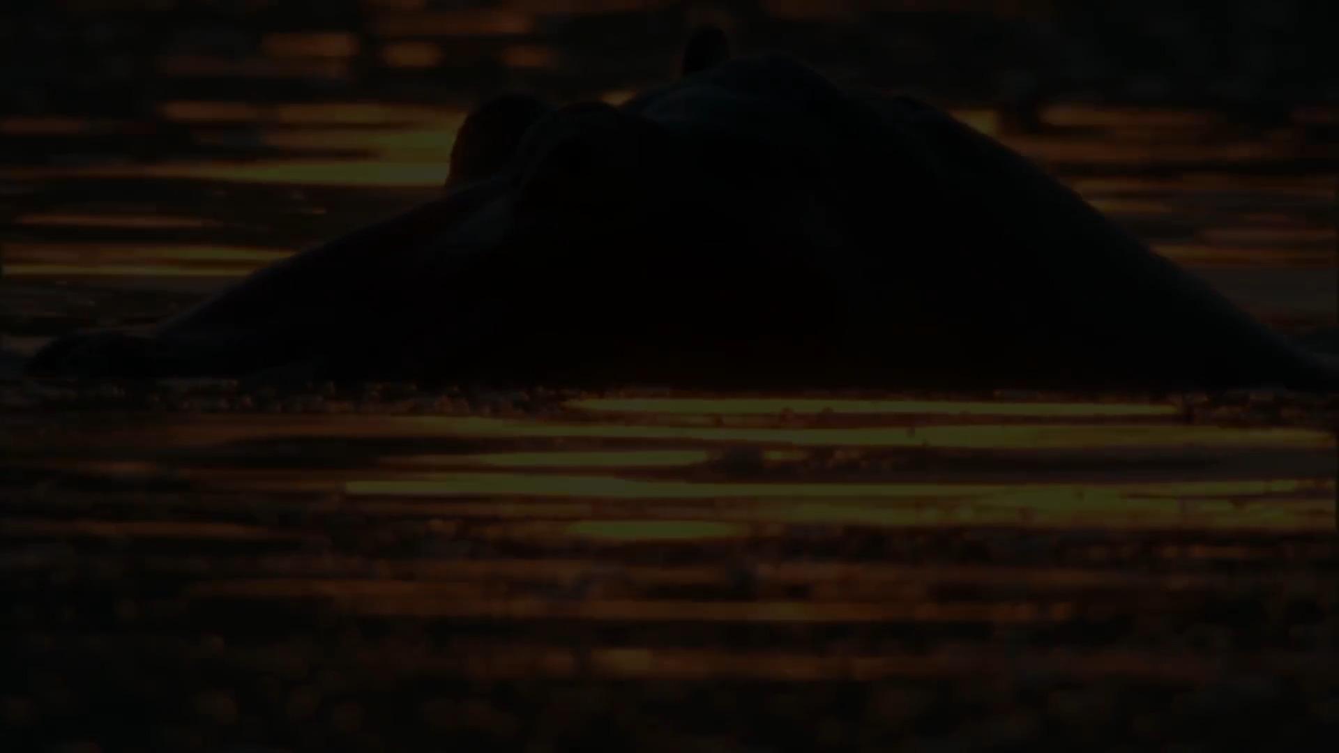 face detection Object Detection Dataset by Krish