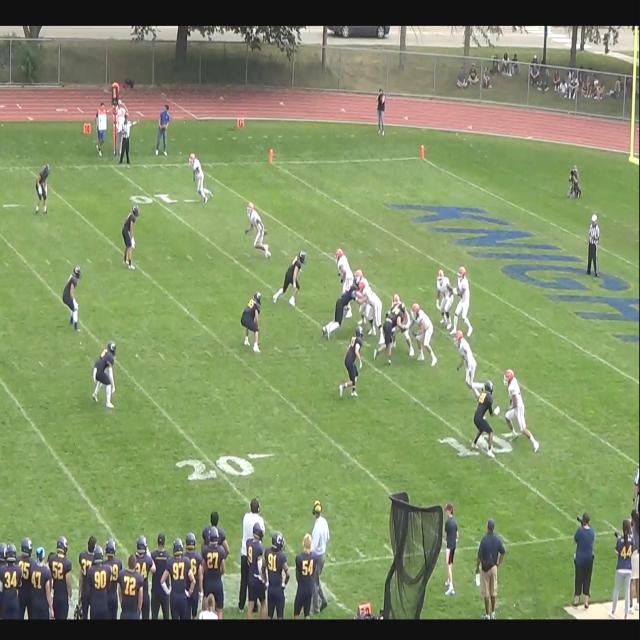 football 2 Instance Segmentation Dataset and Pre-Trained Model by field detection