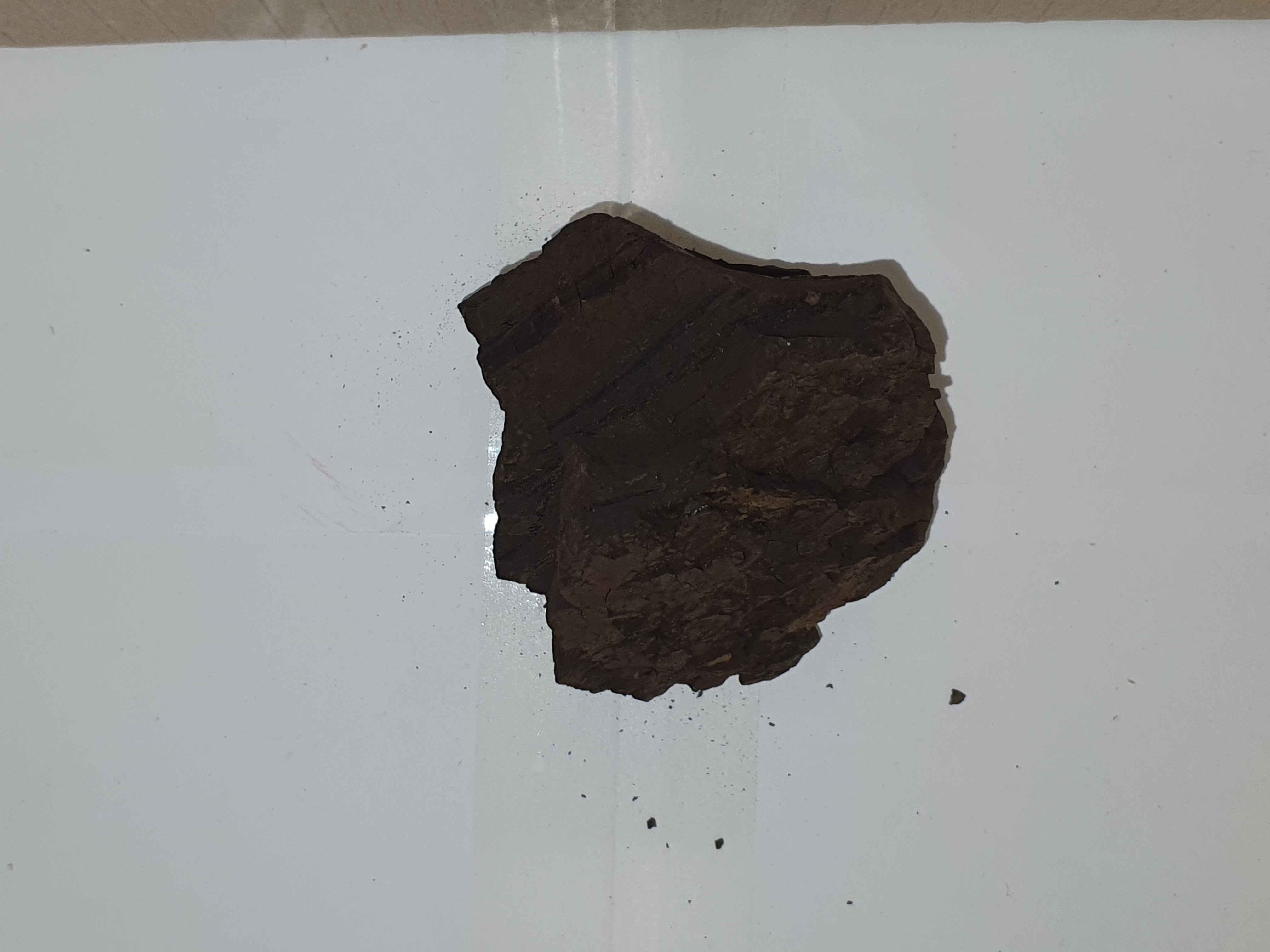 Test 01 Object Detection Dataset By Jong Won Kang