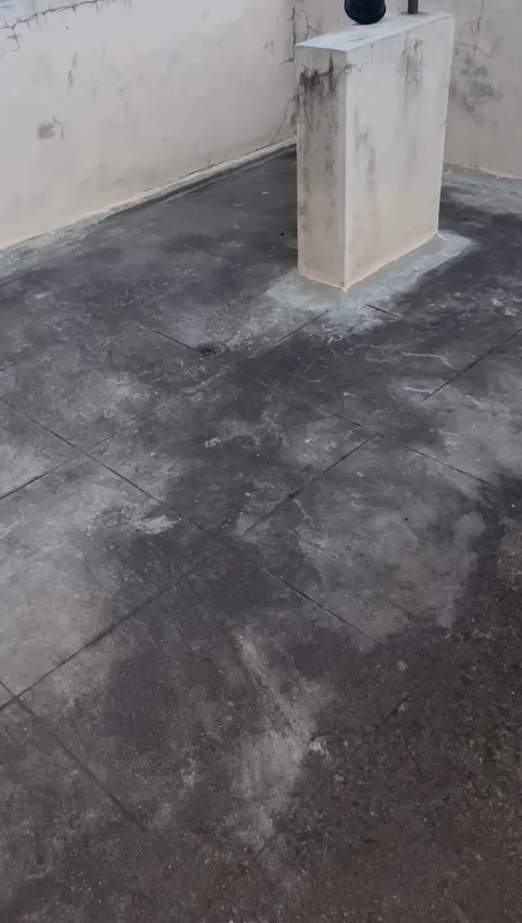 Crick-Analysis-v2 Object Detection Dataset by Implementations